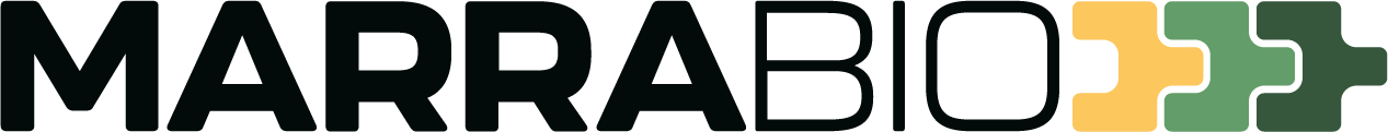 Marrabio - Northstar Ventures